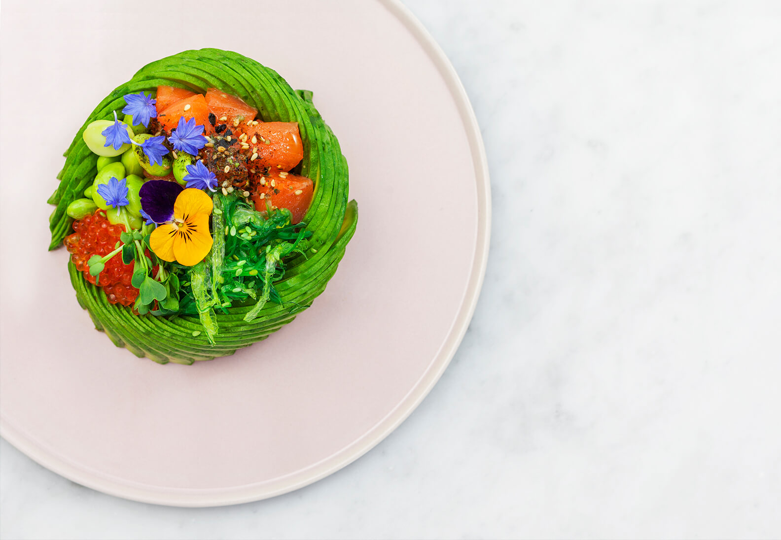 Start-Up Spotlight: The Avocado Show - sisterMAG