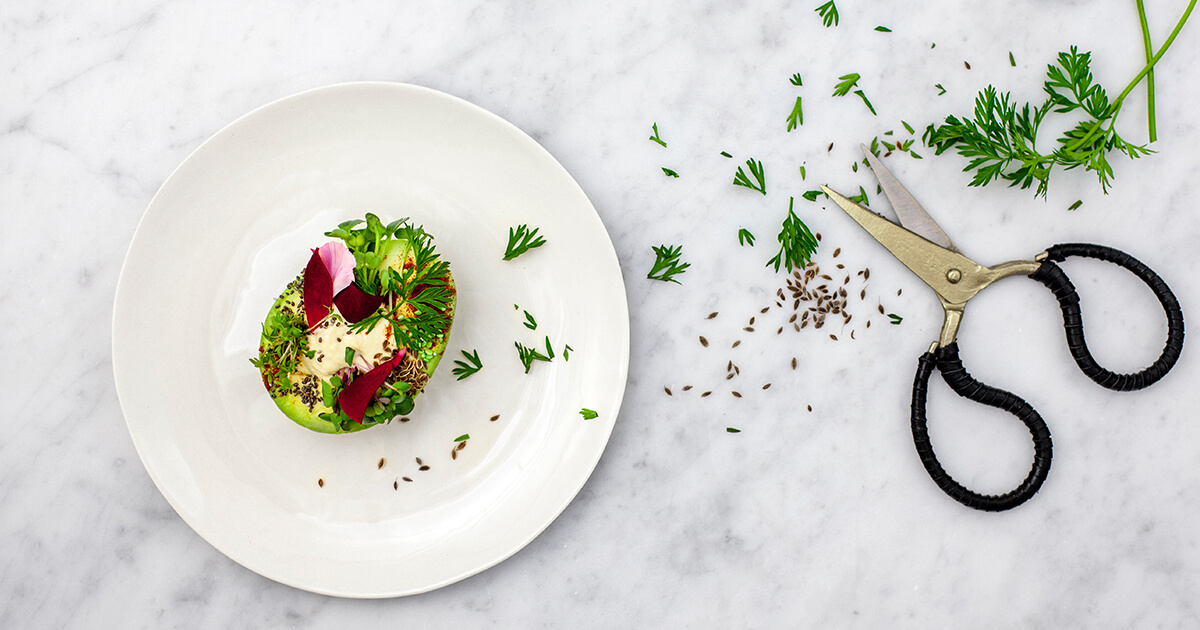 Start-Up Spotlight: The Avocado Show - sisterMAG